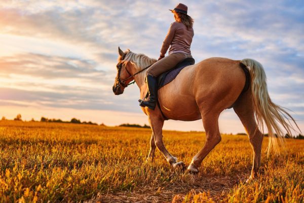A Guide to Horseback Riding in Broken Bow - Broken Bow Cabin Lodging