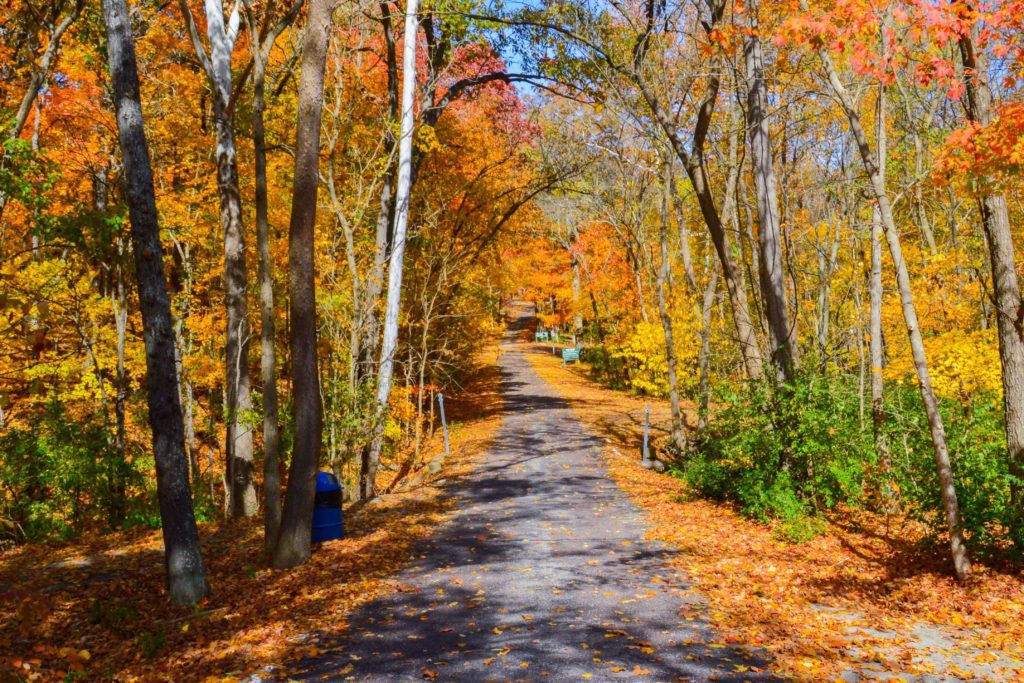 Best Fall Things To Do In Broken Bow, Beavers Bend, Hochatown - Broken Bow Cabin Lodging