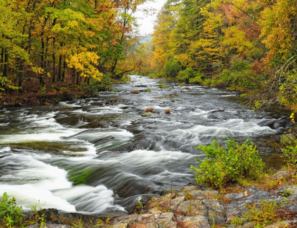 Self-guided Broken Bow Winery Tour - Broken Bow Cabin Lodging